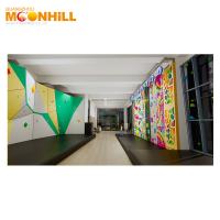 China City Park Amusement Indoor Climbing Structures Anti UV Rock Climbing Wall Panels for sale