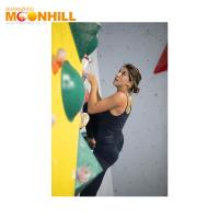China Amusement Adult Rock Indoor Climbing Wall Steel Wooden Resin ISO9001 ISO14001 for sale
