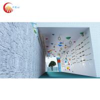 China Outdoor Playground Training Climbing Wall Adventure Park Fingerboard Sports for sale