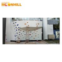 China Professional Large Rock Outdoor Climbing Wall Customized For Park School for sale