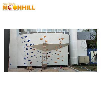 China Professional Large Rock Outdoor Climbing Wall Customized For Park School for sale