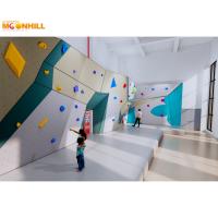 China Agility Training Climbing Wall Gym Fitness Training Rock Climbing Board ROHS for sale