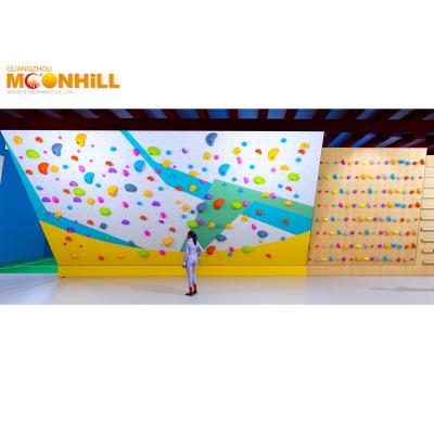 China Indoor Climbing Wall Training Board For Playground Adventure Park for sale