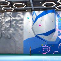 China Wood Steel Plastic Indoor Climbing Wall For 6-50 Years Old for sale