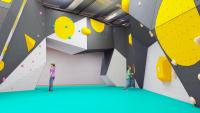 China Wood Steel Plastic Indoor Climbing Wall For 6-50 Years Old for sale