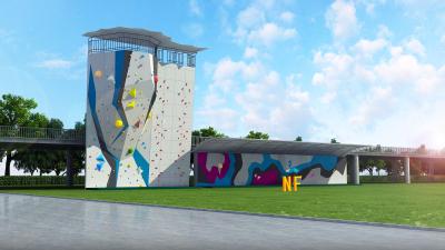 China Customized Reinforced Fiber Glass Outdoor Climbing Wall With ISO9001 Certification for sale