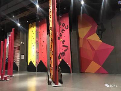 China Weatherproof PVC Fun Climbing Wall For Easy Installation 1 Year Maintenance for sale