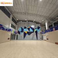 China Organic Fiberglass Board Outdoor Climbing Wall 25 Passenger for sale