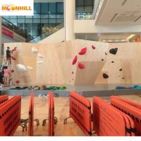 China Adventure Park Custom Rock Climbing Walls For Kids Anti UV Security for sale