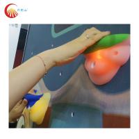 China Customizable Outdoor Climbing Wall With ISO9001 Certification for sale
