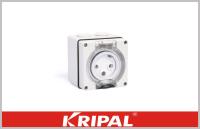 China IP66 50HZ Including Earth Weatherproof Switch Socket 250v 3P 20A Transparent Hingfed Flap Cover for sale