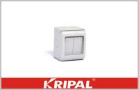 China UKW -2GS IP55 13A 250V 2 Gang Weatherproof Switch Socket Single Pole Surface Mount for sale