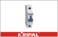 China High Breaking Capacity Micro Circuit Breaker , White 1 Pole Circuit Breaker for sale