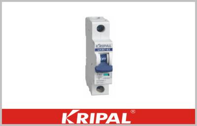 China High Breaking Capacity Micro Circuit Breaker , White 1 Pole Circuit Breaker for sale