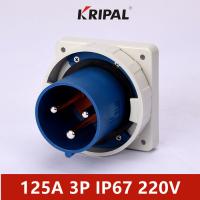China Single Phase 125A 5 pole IP67 IEC Waterproof Panel Mounted Plug for sale