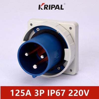 China Single Phase 125A 5 pole IP67 IEC Waterproof Panel Mounted Plug for sale