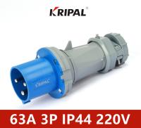 China 63A IP44 3 Pole 220V PC Waterproof Industrial Plug IEC standard for sale