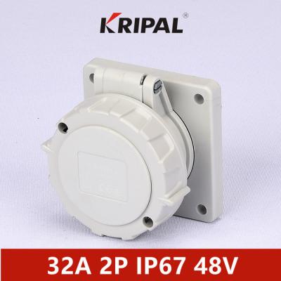 China IP67 48V 32A 2 Pin IEC Low Voltage Industrial Power Socket Panel Mounted for sale