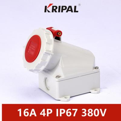 China IP67 16A 380V 4 Pole Industrial Wall Mounted Socket IEC Standard for sale