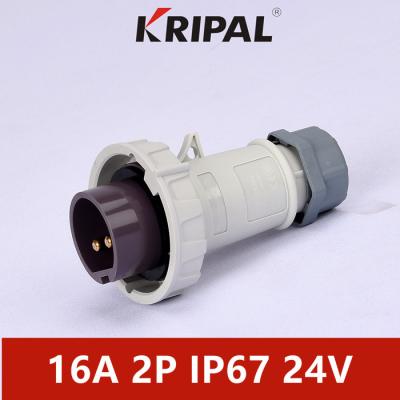 China Single Phase IP67 24V 16A Industrial Low Voltage Male Plug White for sale