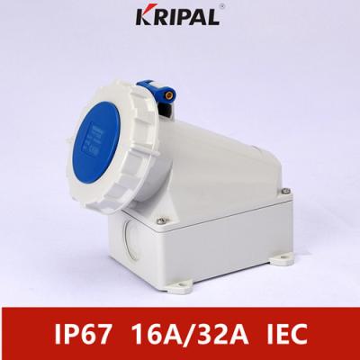 China Dustproof IP67 230V 16A Industrial Wall Mounted Socket IEC Standard for sale