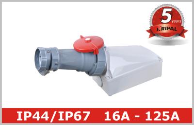 China White 3 Phase Industrial Electrical Outlets Adapter 380V - 4150V for sale