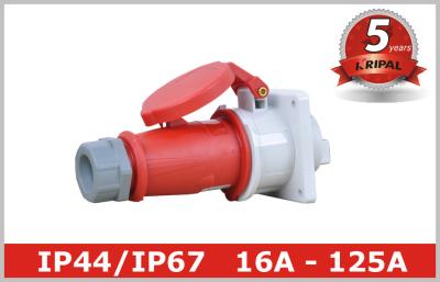 China 63A 125A Industrial Power Socket / Pin And Sleeve Receptacle Custom for sale