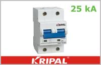 China Compact Thermal Magnetic Circuit Breaker Double Pole 63A 80A 100A 125A for sale