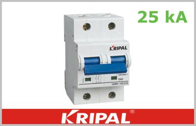 China Compact Thermal Magnetic Circuit Breaker Double Pole 63A 80A 100A 125A for sale