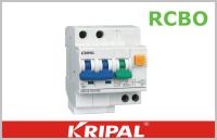 China Electronic Residual Circuit Breaker with Over Current Protection RCBO for sale