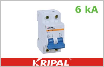 China DZ47 1 Pole 2 Pole 3 Pole 4 Pole Miniature Circuit Breaker for Household for sale