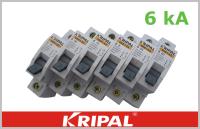China Mini Circuit Breaker Single Pole  Double poles three poles four poles Customized 1,3,6,10,16,20,25,32,40,50,63A for sale
