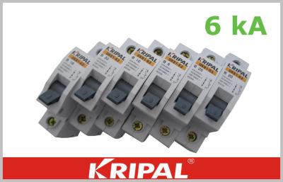 China Mini Circuit Breaker Single Pole  Double poles three poles four poles Customized 1,3,6,10,16,20,25,32,40,50,63A for sale