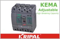 China 160A Double Molded Case Circuit Breaker / Four Pole Adjustable Circuit Breaker for sale