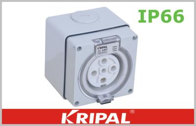 China 56SO 66SO series Waterproof Switch Socket Outdoor Industrial Receptacles for sale
