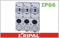 China Outdoor Industrial Weatherproof Switch Socket with Fuse Customized for sale