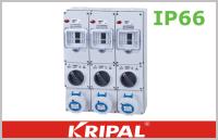 China Dustproof 16A Industrial Socket Outlet with RCD Electrical Protection for sale