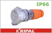China 56CSC Series Industrial IP66 Plug Extention Cord 10A 20A 32A 40A 50A for sale