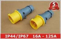 China Weatherproof 110v 4h Industrial Plugs Male Socket 2P+E , Heavy Duty for sale