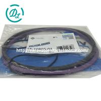 China EexcavaStart Reinz Cylinder Sleeve O-Ring Set 15-10805-01 for Volvo Engine for sale