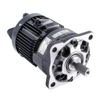 China EexcavaStart NP16/15-210 Speck Pump 24V Hydraulic Excavator Part D-82538 for sale