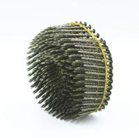 China Galvanized Steel Welded Coil Screw Nails 2.1x35mm 16 Degree for Pallet Containers for sale