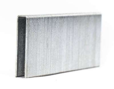 China 16 Gauge 7/16 Medium Crown Air Staple N50 2 Length for Heavy Duty Pneumatic Staplers for sale