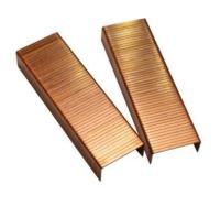 China ISO Standard Steel Copper Plating Carton Closing Staples 3518 for Packaging Needs for sale