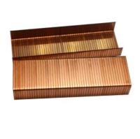 China ISO Standard Steel Copper Plating Carton Closing Staples 3518 for Packaging Needs for sale