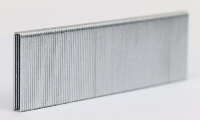 China 18 Gauge 1/4 Inch Narrow Crown Air Staple 9040 Standard 5.50mm Crown Steel Pneumatic Staple for sale