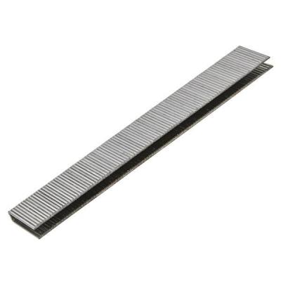 China 18 Gauge Pneumatic Staple 1/4 Crown 13mm U-Type Nail for Furniture Decoration for sale