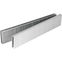 China 18 Gauge Pneumatic Staple 1/4 Crown 13mm U-Type Nail for Furniture Decoration for sale