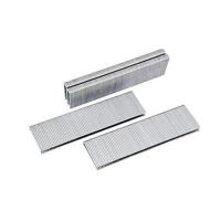 China 18 Gauge 1.25mm Narrow Crown Pneumatic Staple 5.5mm Crown 13mm Length for Furniture Decoration for sale