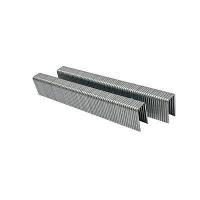 China ANSI Standard 18 Gauge 1/4 Crown 32mm Narrow Crown Staple 9032 for Furniture Decoration for sale